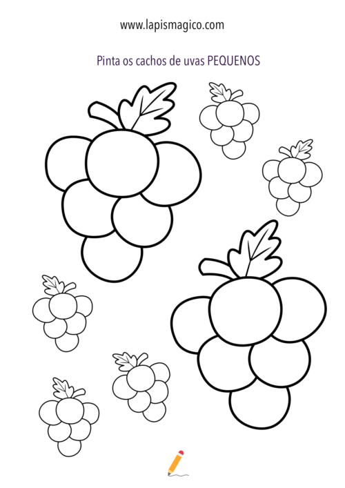 Desenhos de cachos de uvas para imprimir e colorir