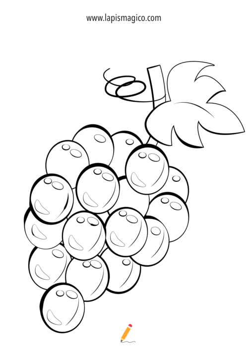 Desenhos de cachos de uvas para imprimir e colorir