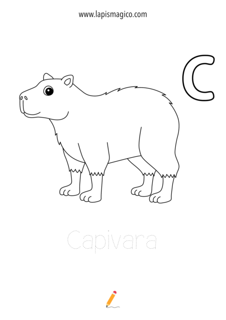 Desenhos de capivaras para imprimir e colorir